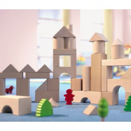 BASIC BLOCKS STARTER